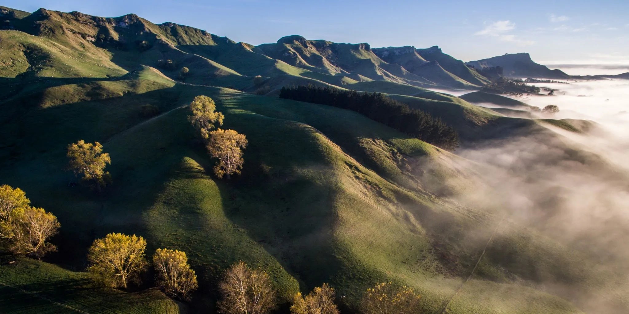 Matangi Cooking Ideas | Matangi Prime Meat