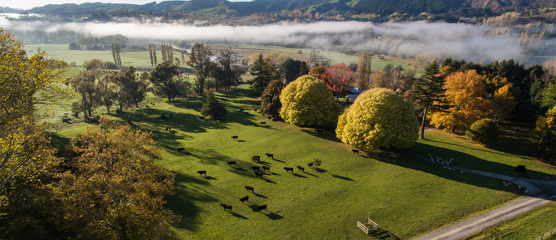 The Matangi Difference | Matangi Prime Meat